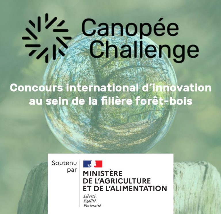 Canopée Challenge - Archimbaud